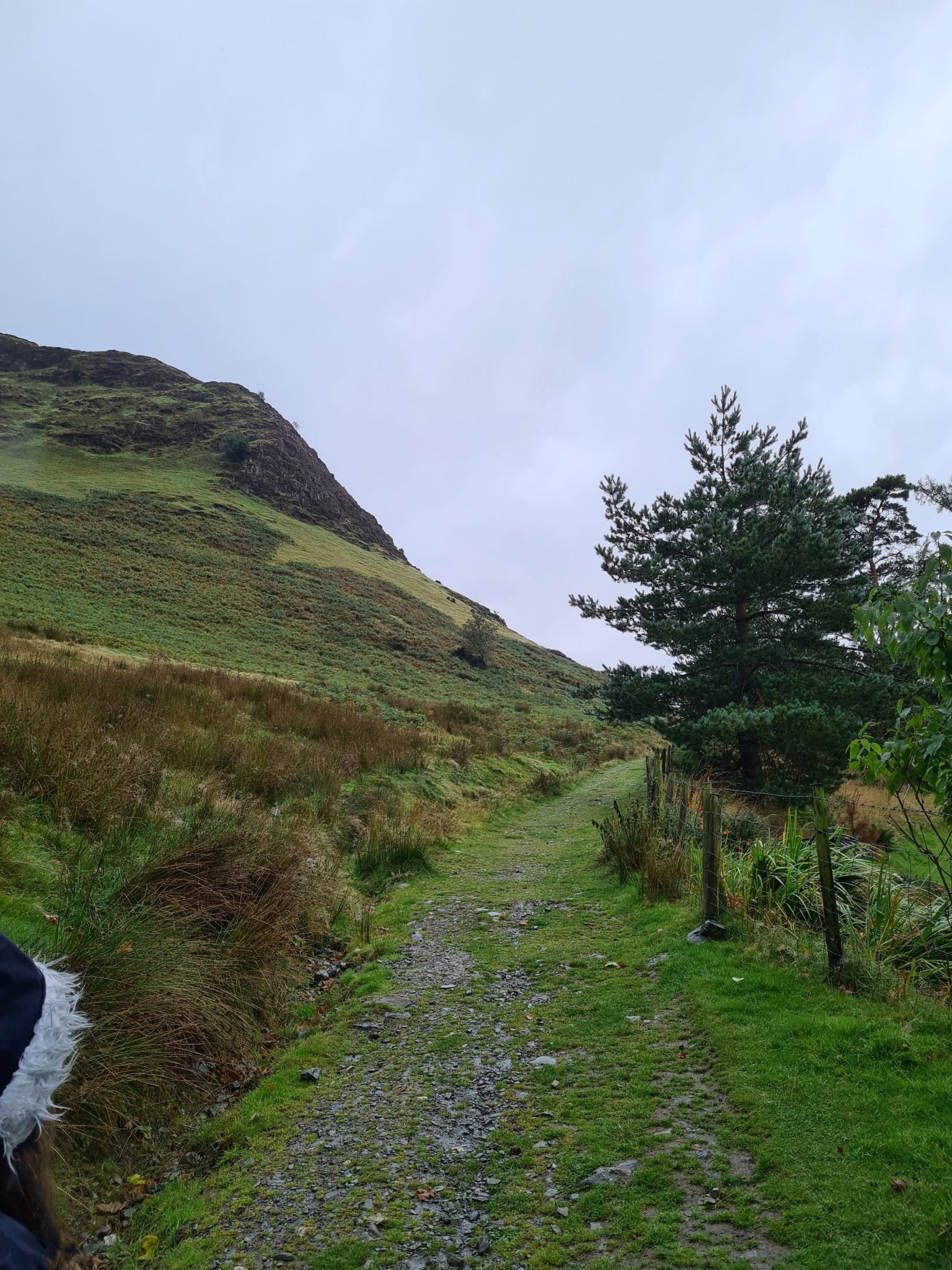Catbells Hiking Route | 8 Miles | The Wandering Wildflower