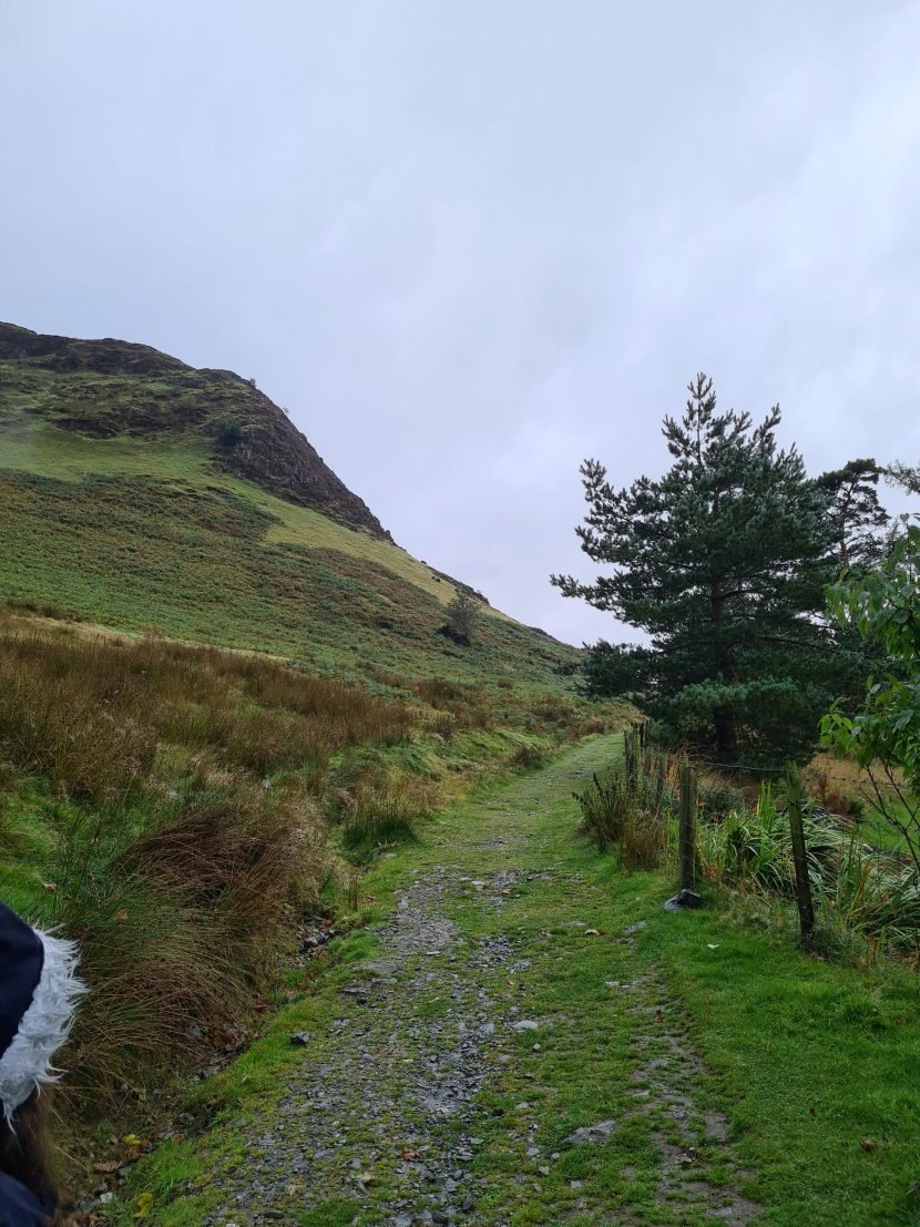 Catbells Hiking Route | 8 Miles | The Wandering Wildflower