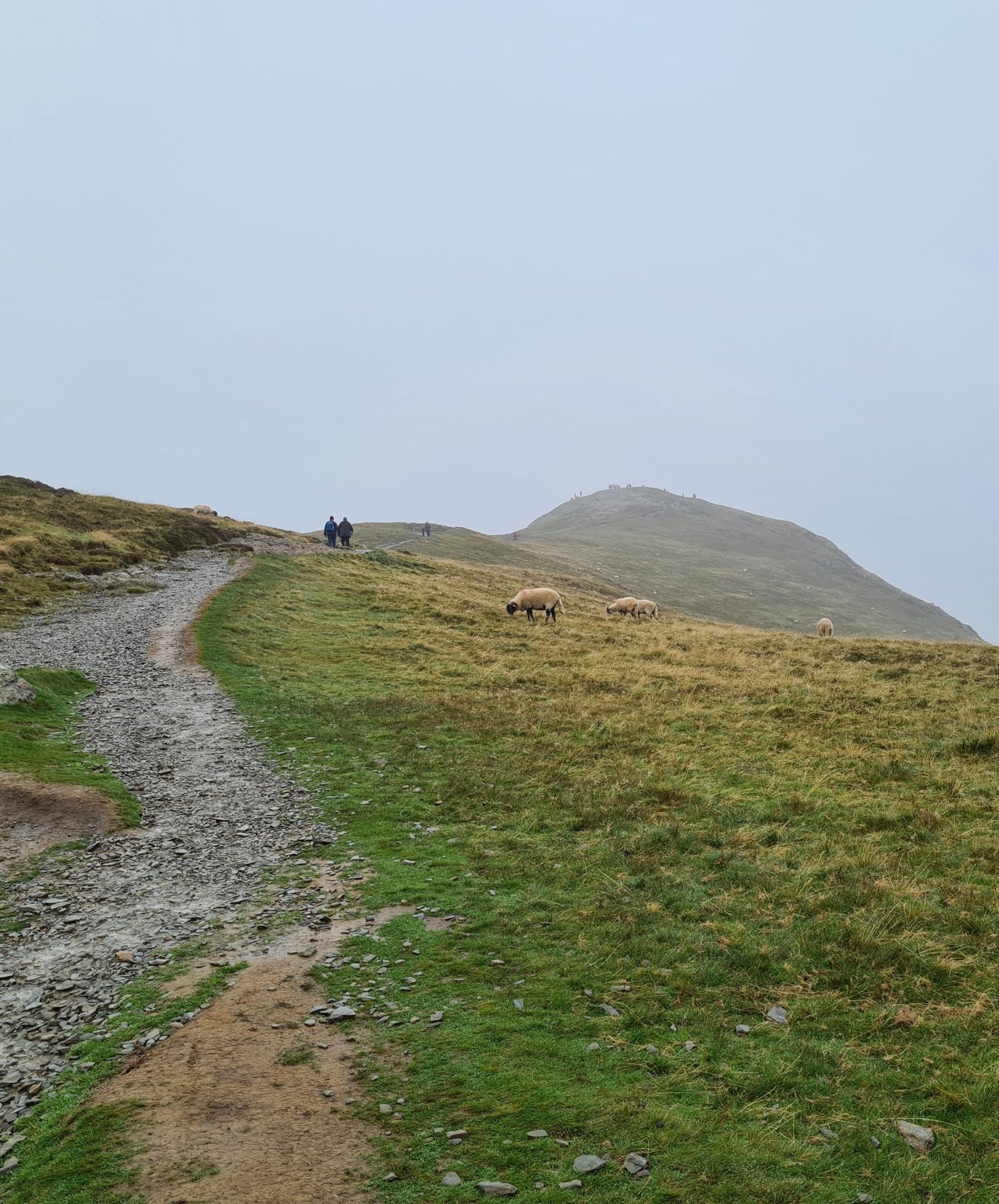 Catbells Hiking Route | 8 Miles | The Wandering Wildflower