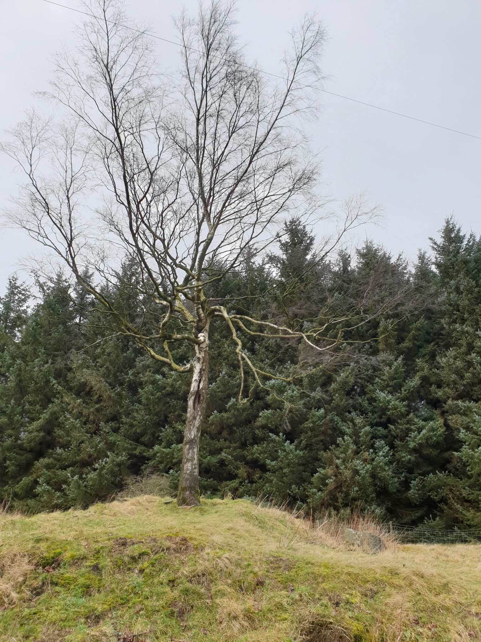 Hade Edge Circular Walk with Pub Stop | 5 Miles