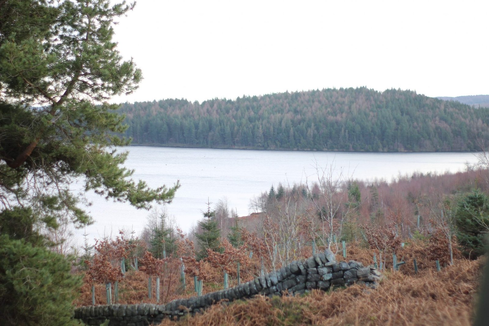 Langsett Reservoir Walk | 4 Miles | The Wandering Wildflower