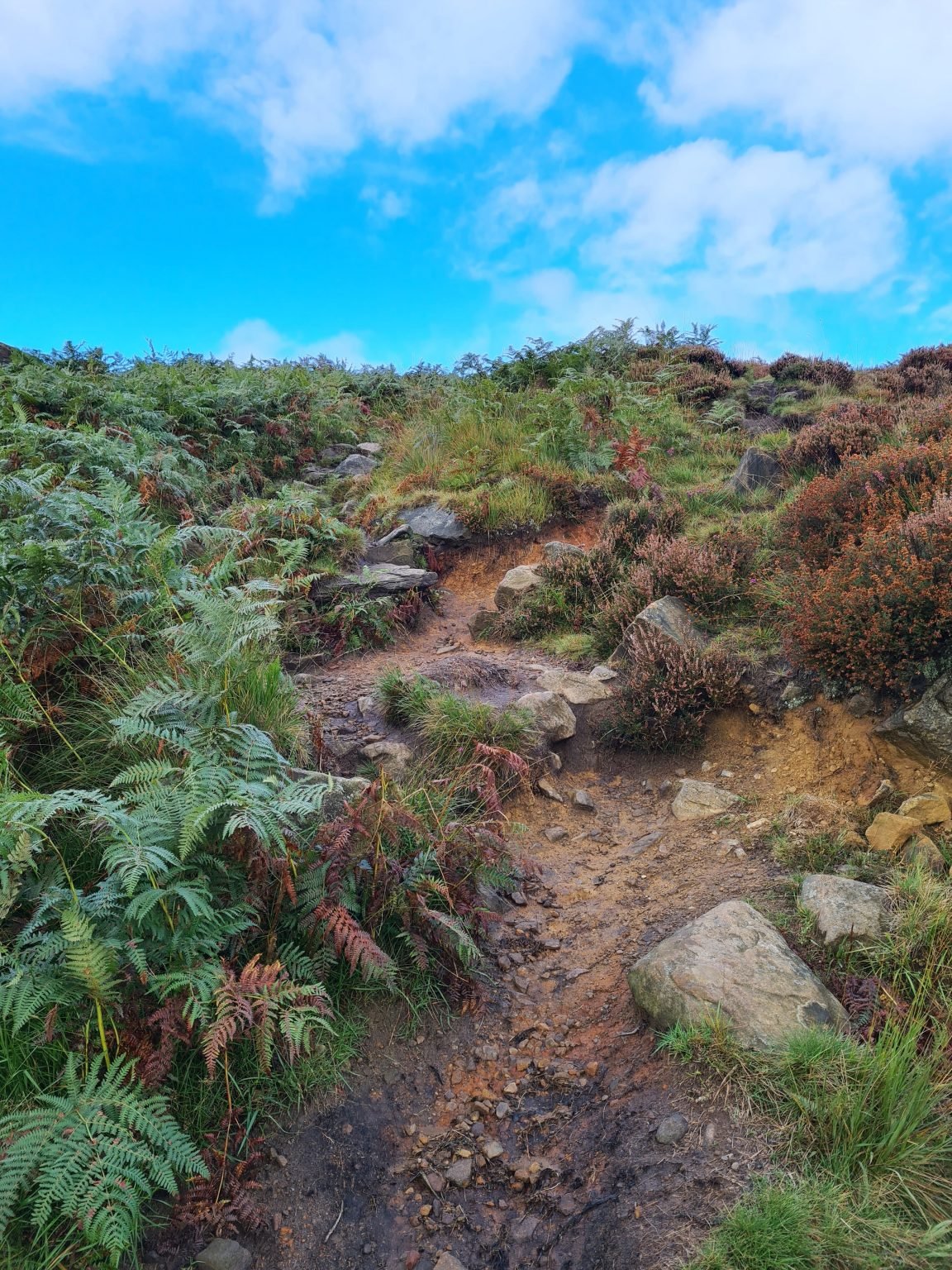 Black Chew Head via Laddow Rocks Walk | 6 Miles