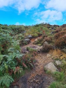 Black Chew Head via Laddow Rocks Walk | 6 Miles