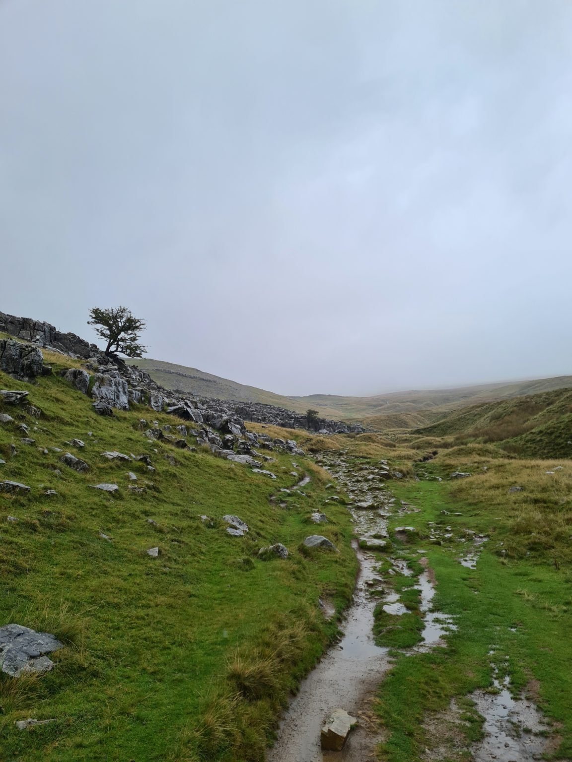 Ingleborough from Ingleton Walking Route | 9 Miles