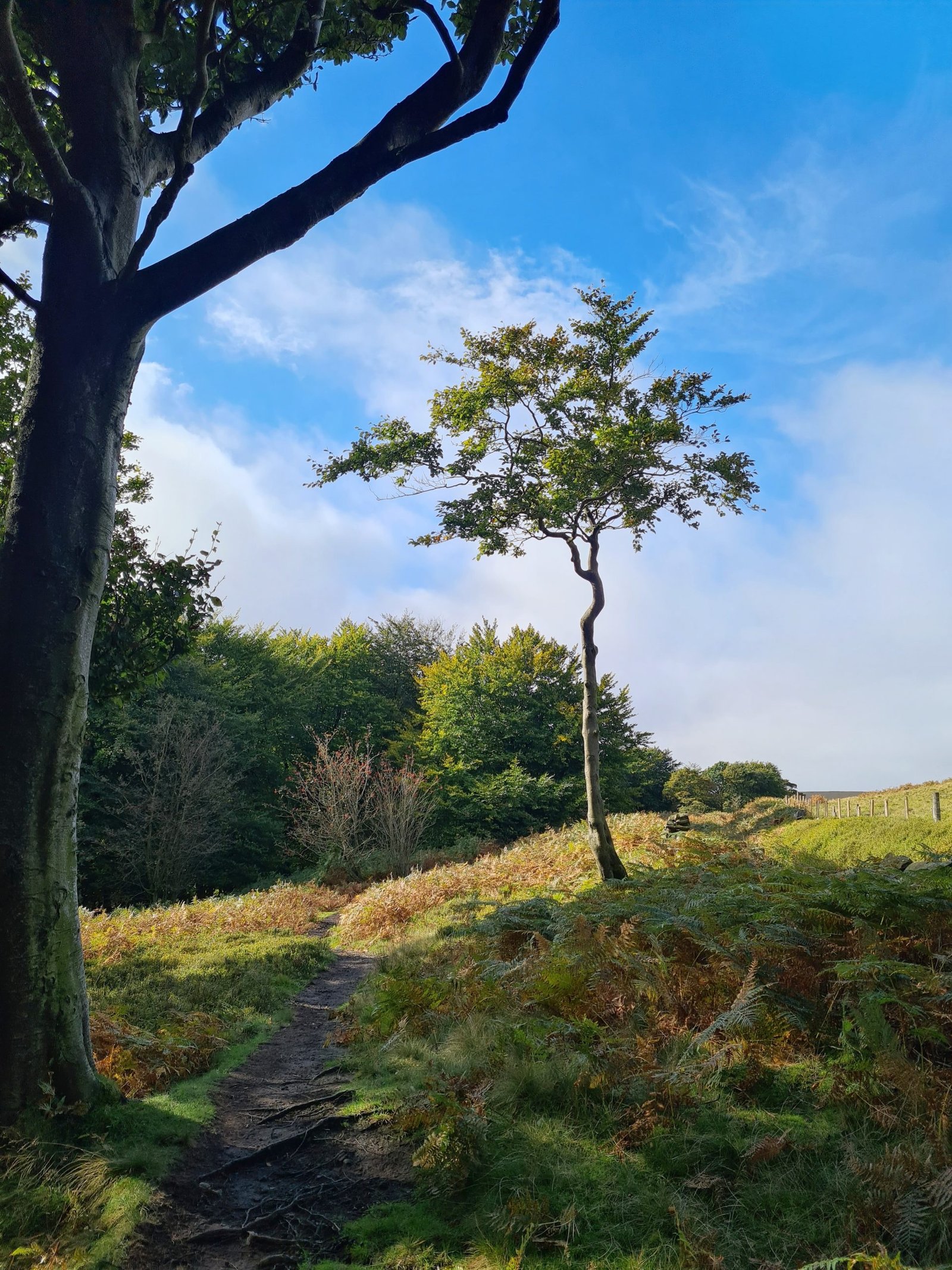 Wessenden Moor Circular Hike | 4 Miles