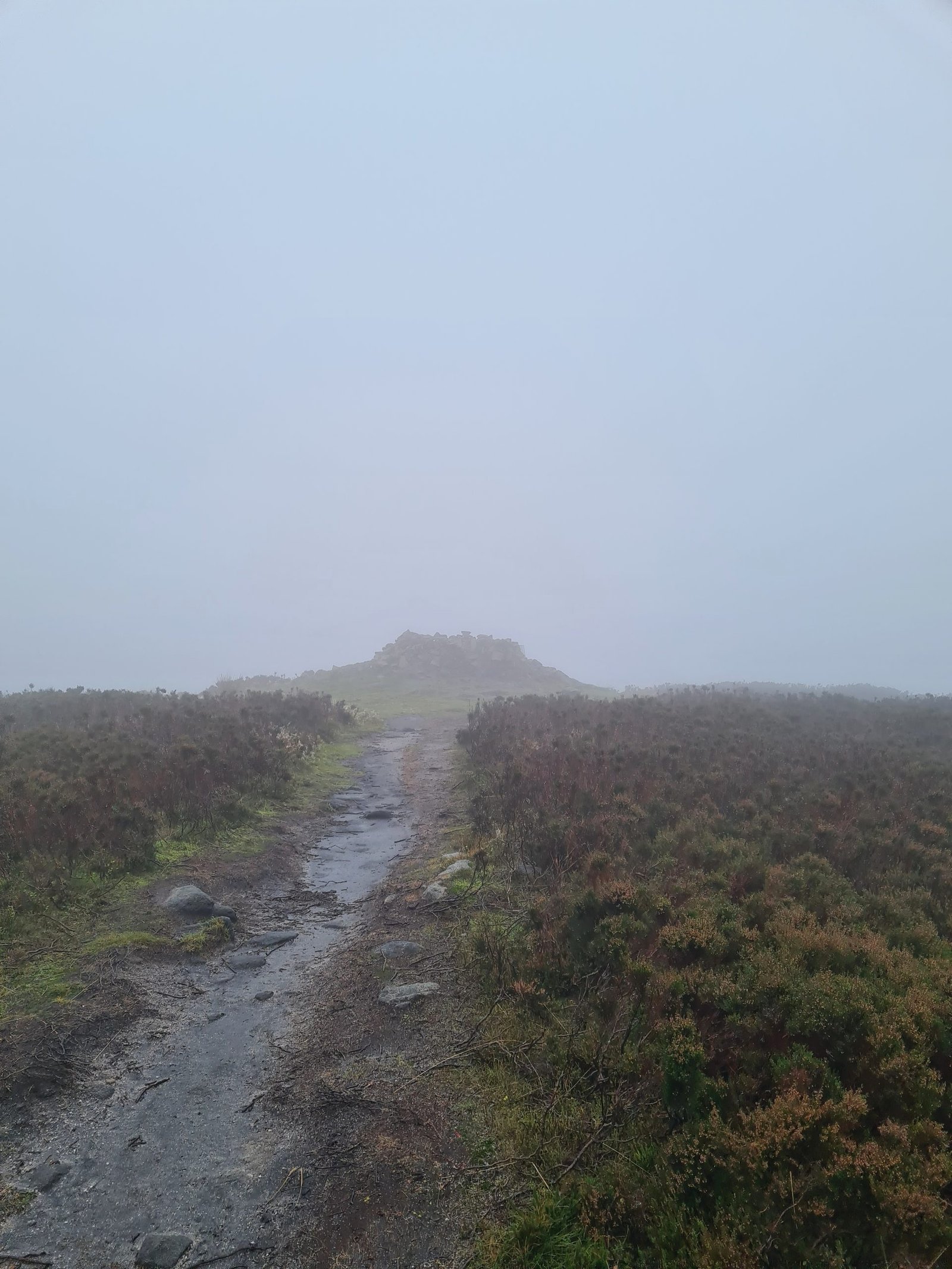Dovestone Reservoir to Alphin Pike Circular Walk | 10 Miles