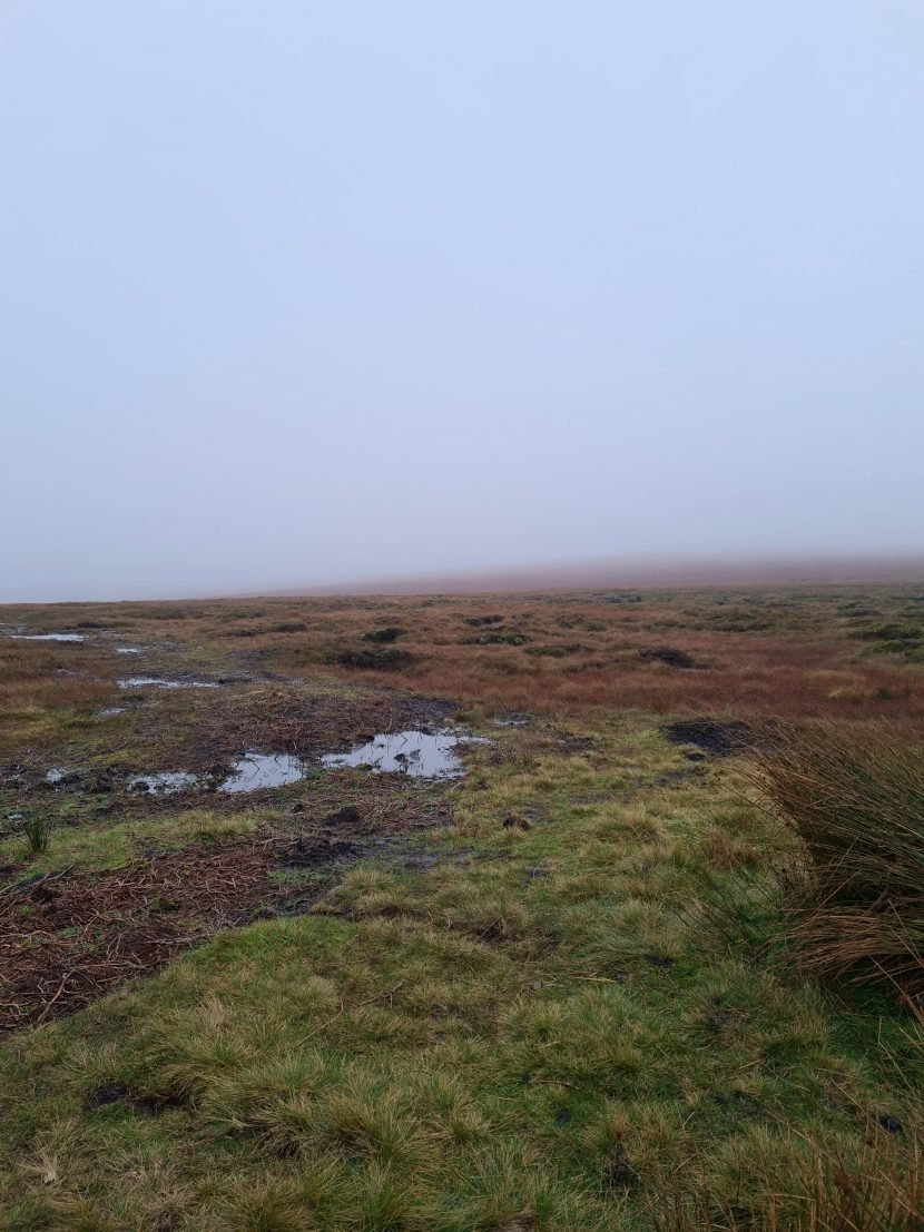 Featherbed Top | 2 Miles | The Wandering Wildflower