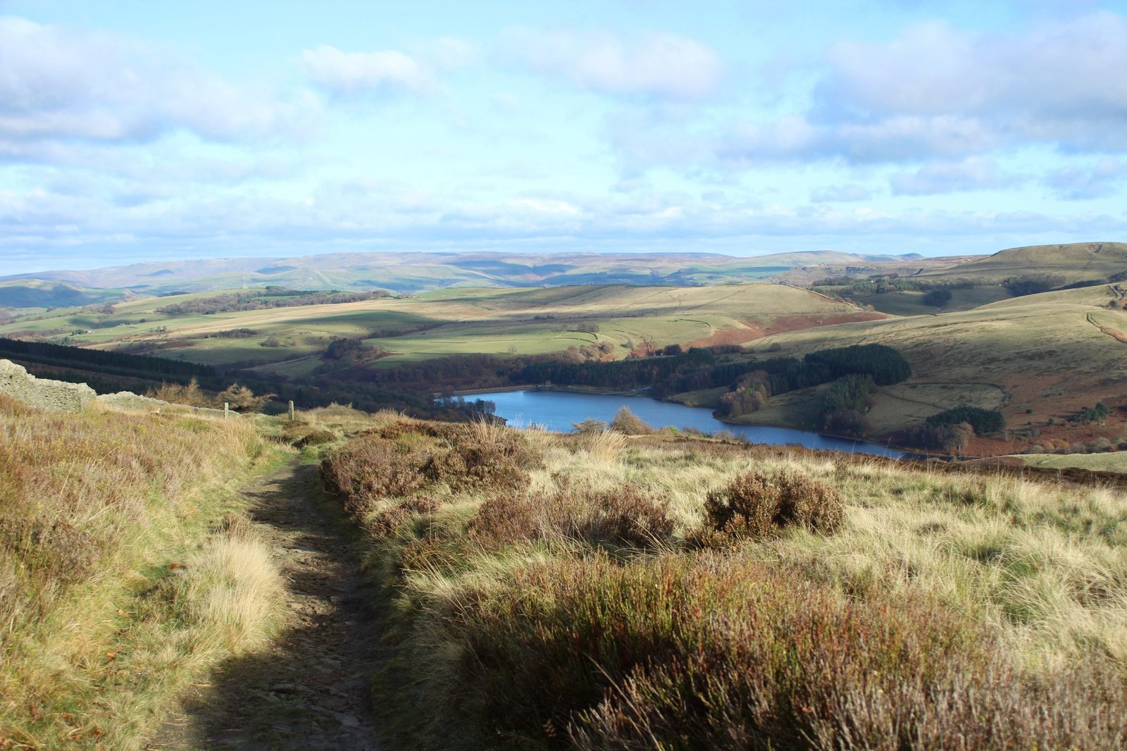 Foxlow Edge, Shining Tor and Cats Tor Circular Walk | 6 Miles