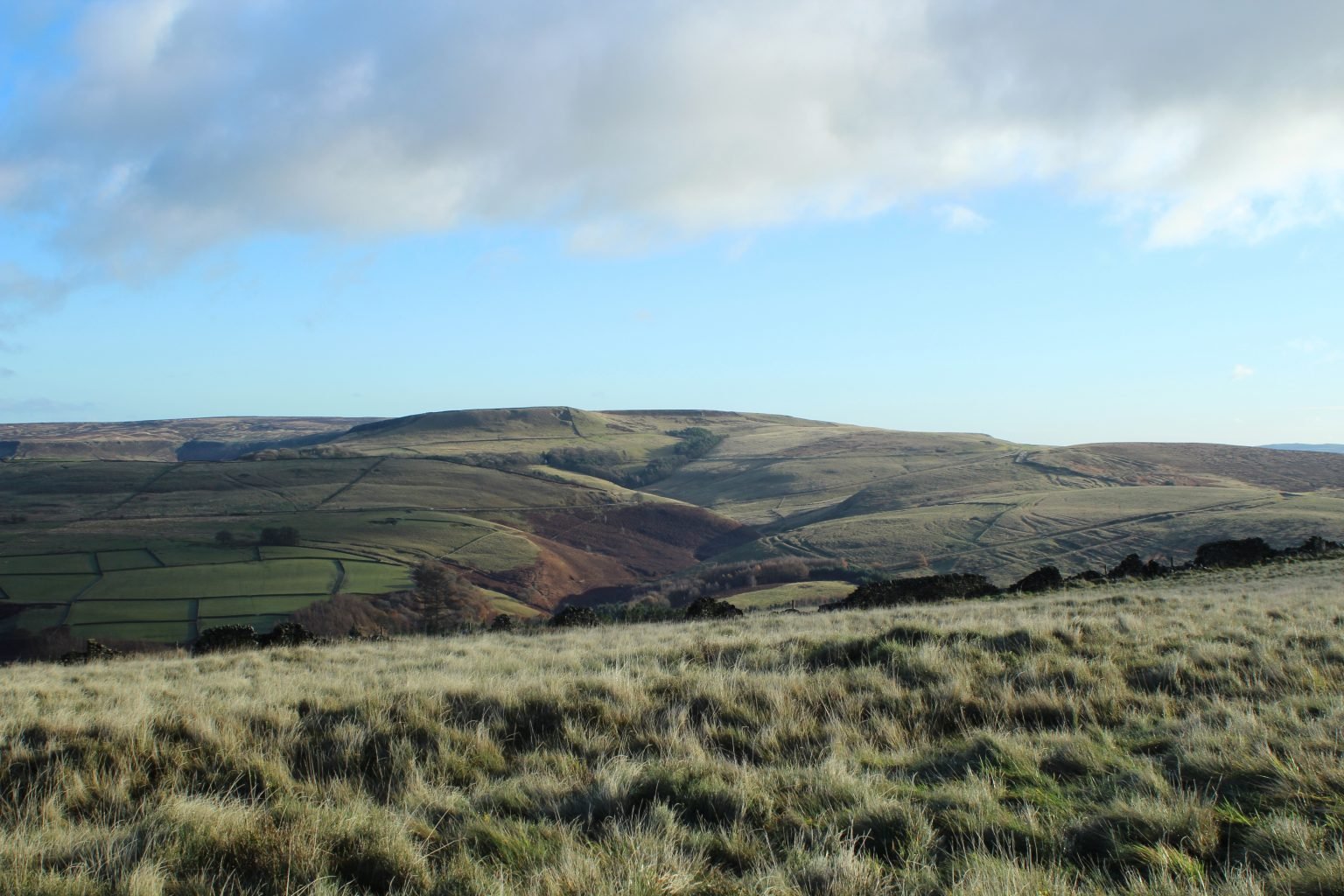Foxlow Edge, Shining Tor and Cats Tor Circular Walk | 6 Miles