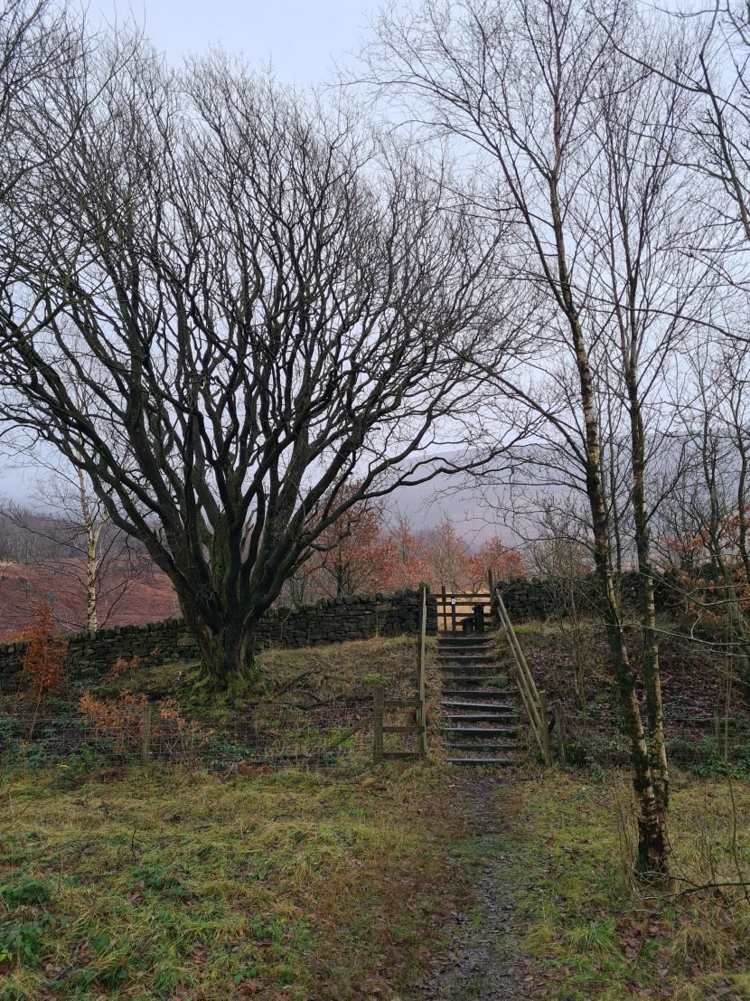 Torside Reservoir Circular Walk | 5 Miles | The Wandering Wildflower