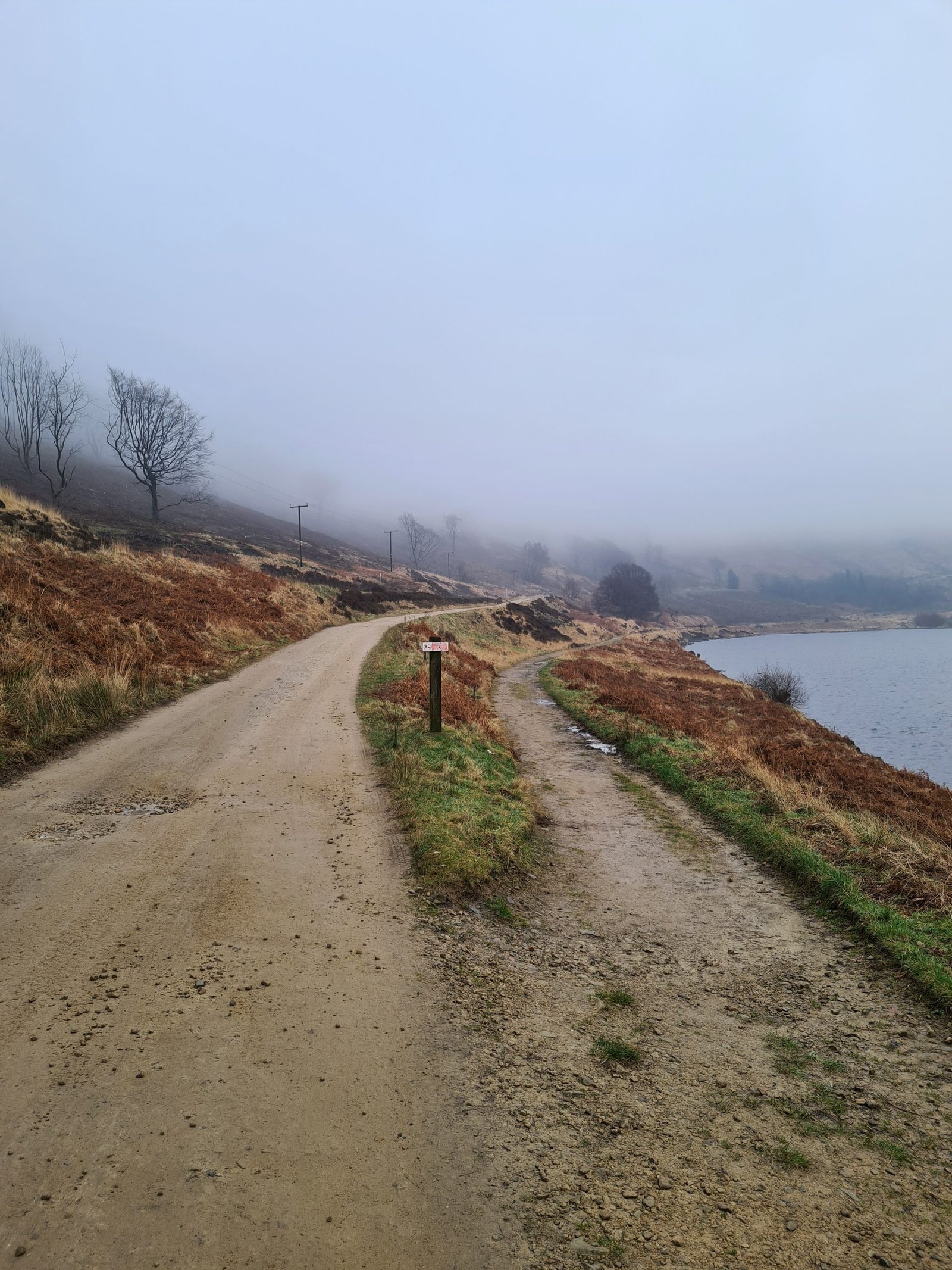 Ashway Moss and The Trinnacle Circular Walk | 9 Miles