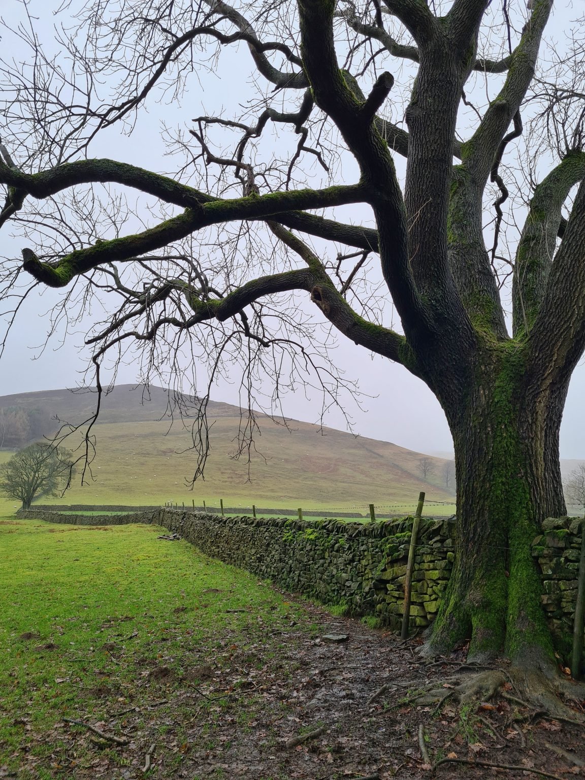 Edale to Grindslow Knoll Circular Walk | 4 Miles