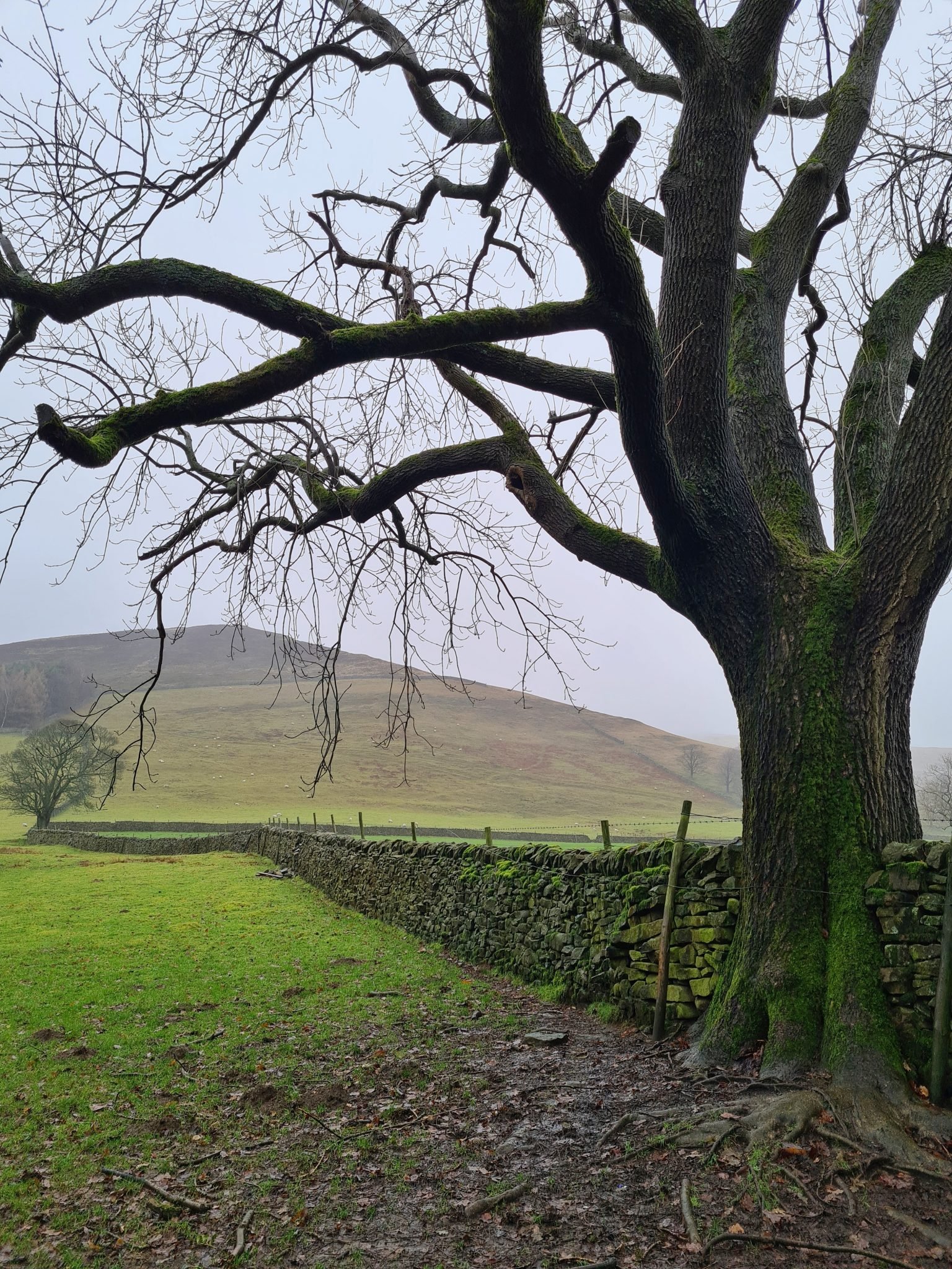 Edale to Grindslow Knoll Circular Walk | 4 Miles