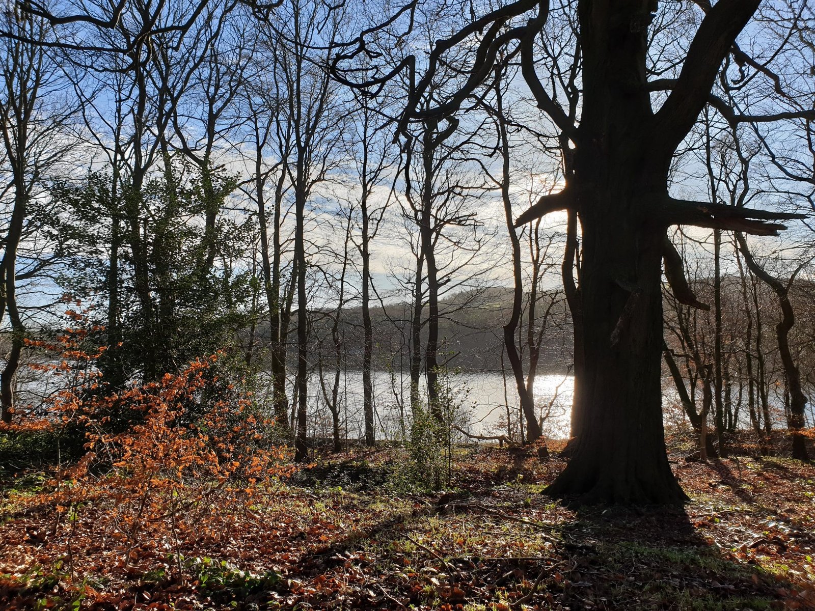Underbank Reservoir Walk | 3 Miles - Walks with Kids