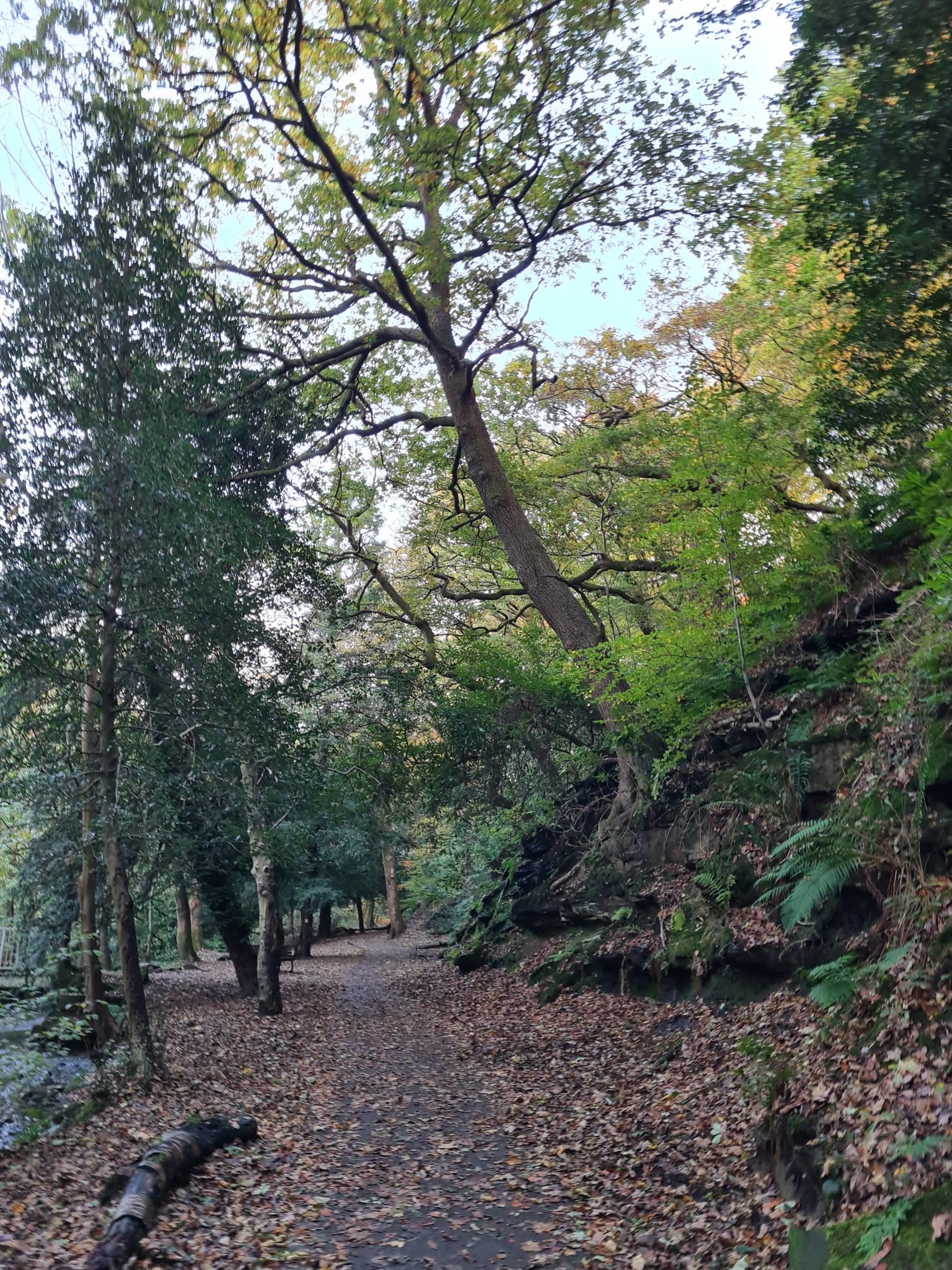 Honley to Meltham Circular Walk | 9 Miles | Walks in Holmfirth