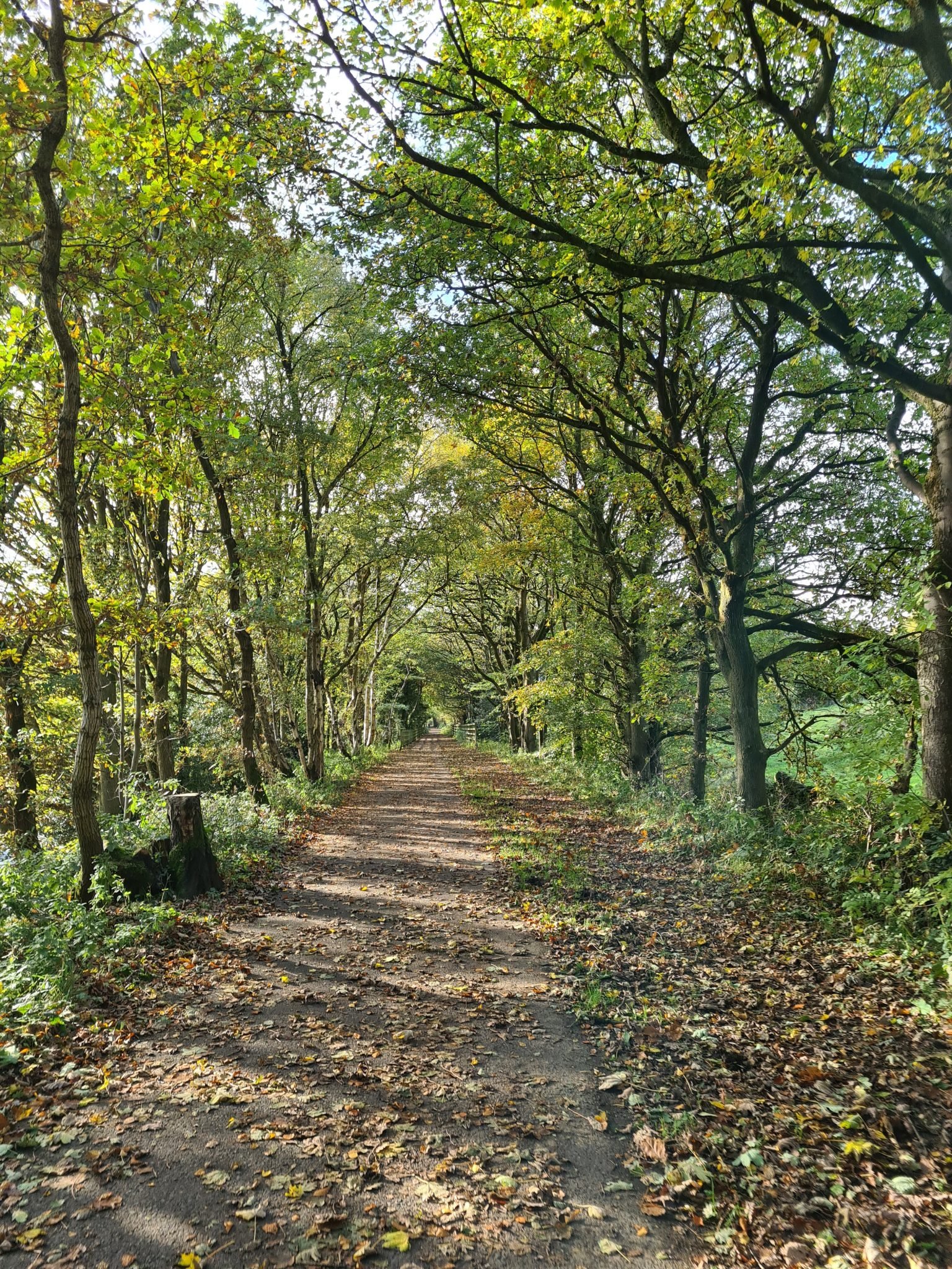 Honley to Meltham Circular Walk | 9 Miles | Walks in Holmfirth