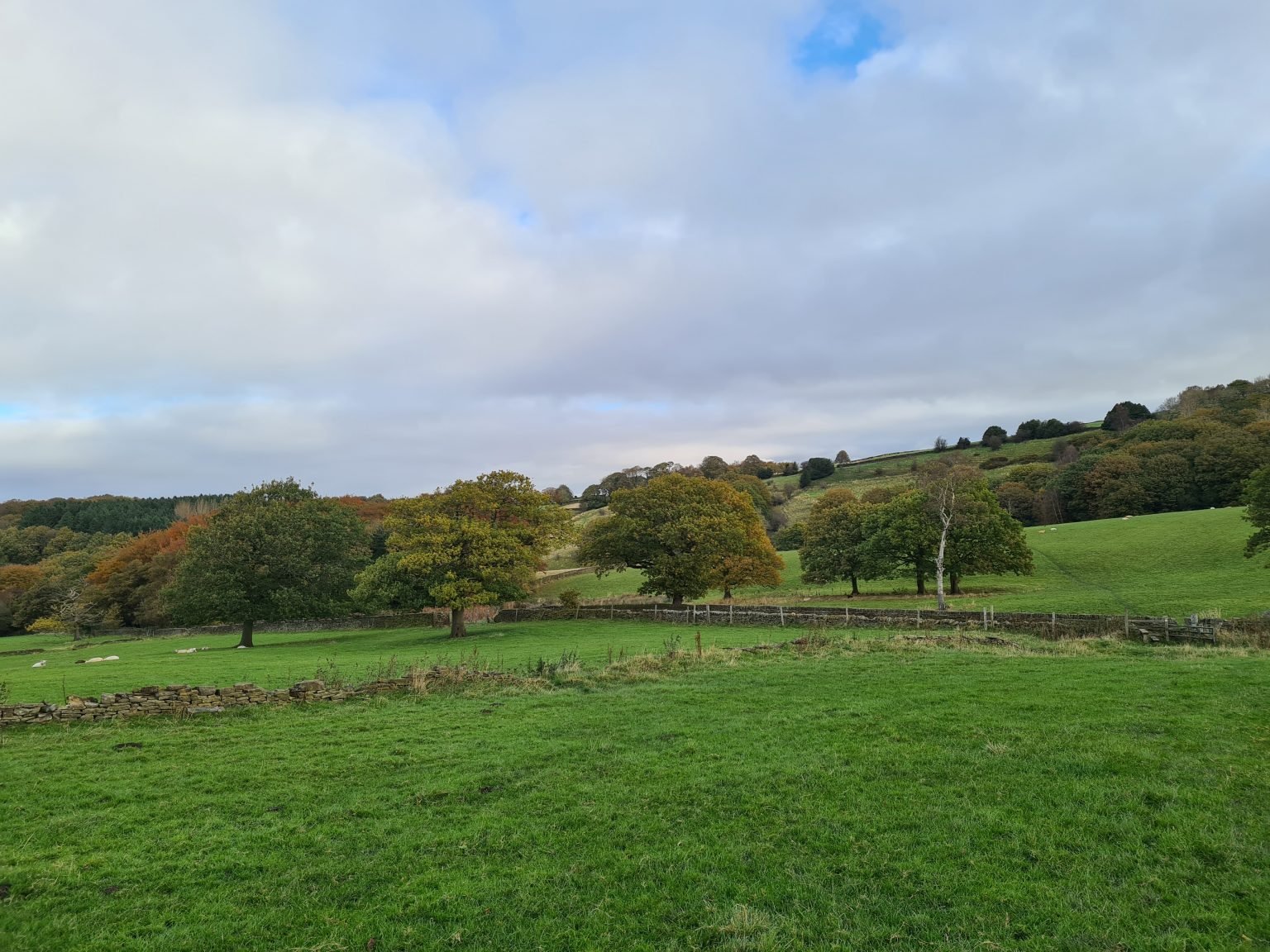 Honley to Meltham Circular Walk | 9 Miles | Walks in Holmfirth