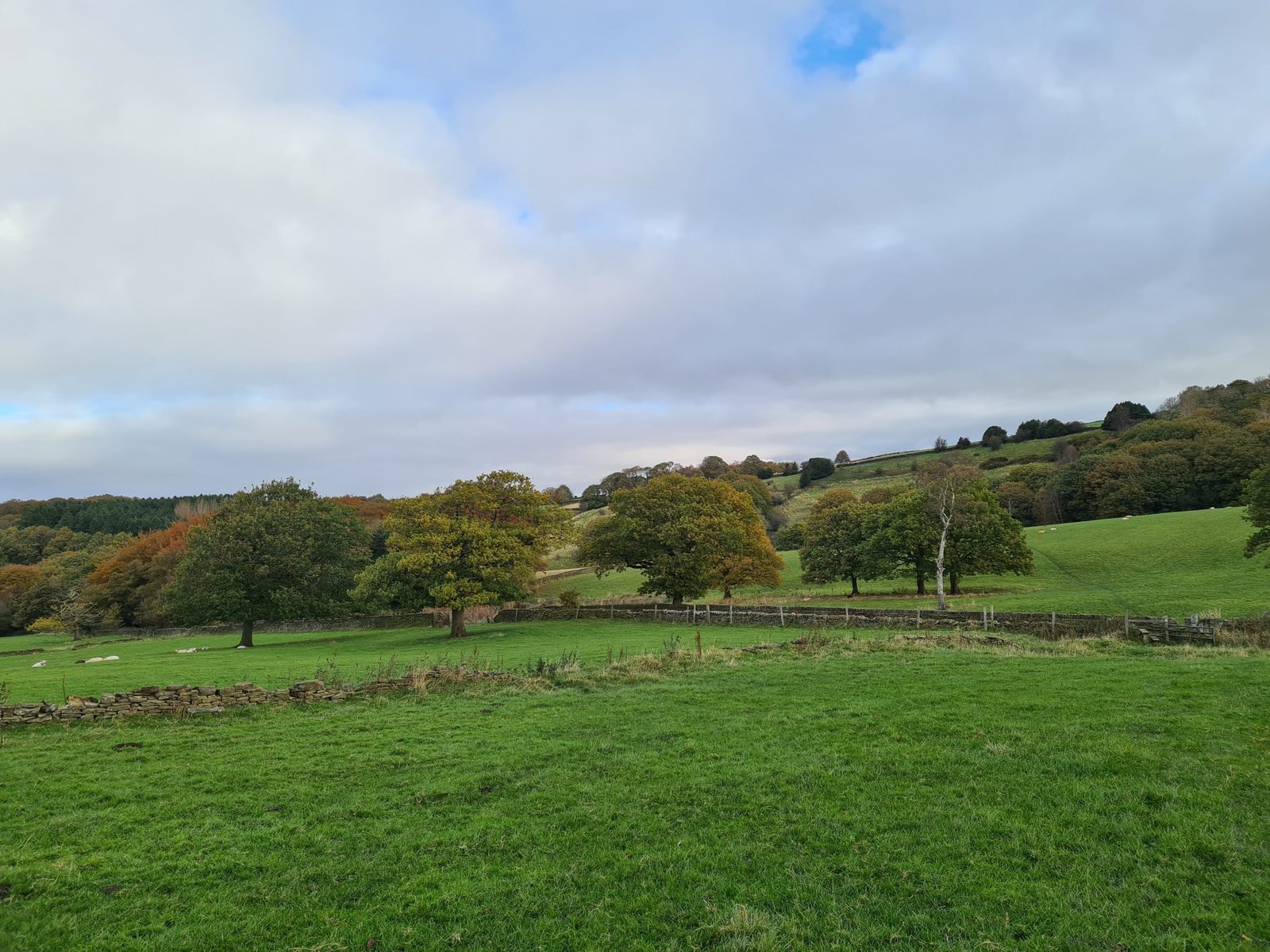 Honley to Meltham Circular Walk | 9 Miles | Walks in Holmfirth
