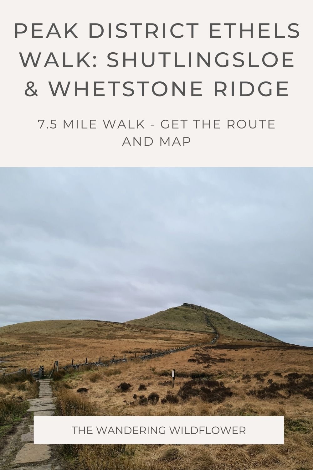 Shutlingsloe Circular Walk via Whetstone Ridge | 8 Miles