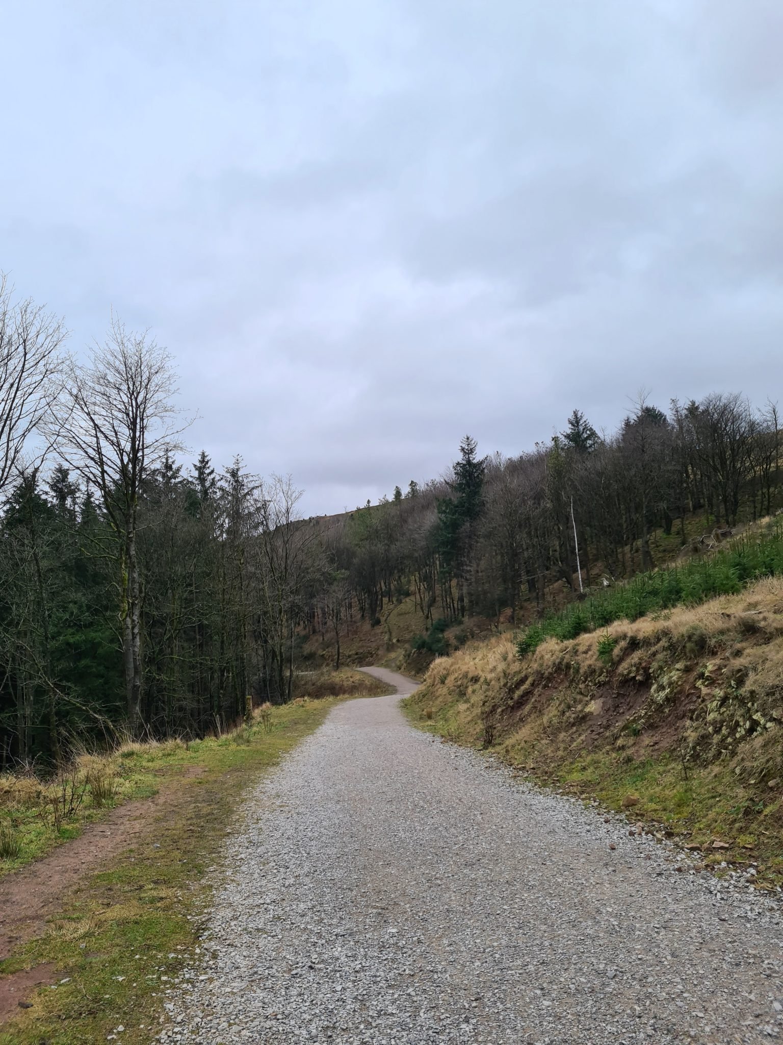 Shutlingsloe Circular Walk via Whetstone Ridge | 8 Miles