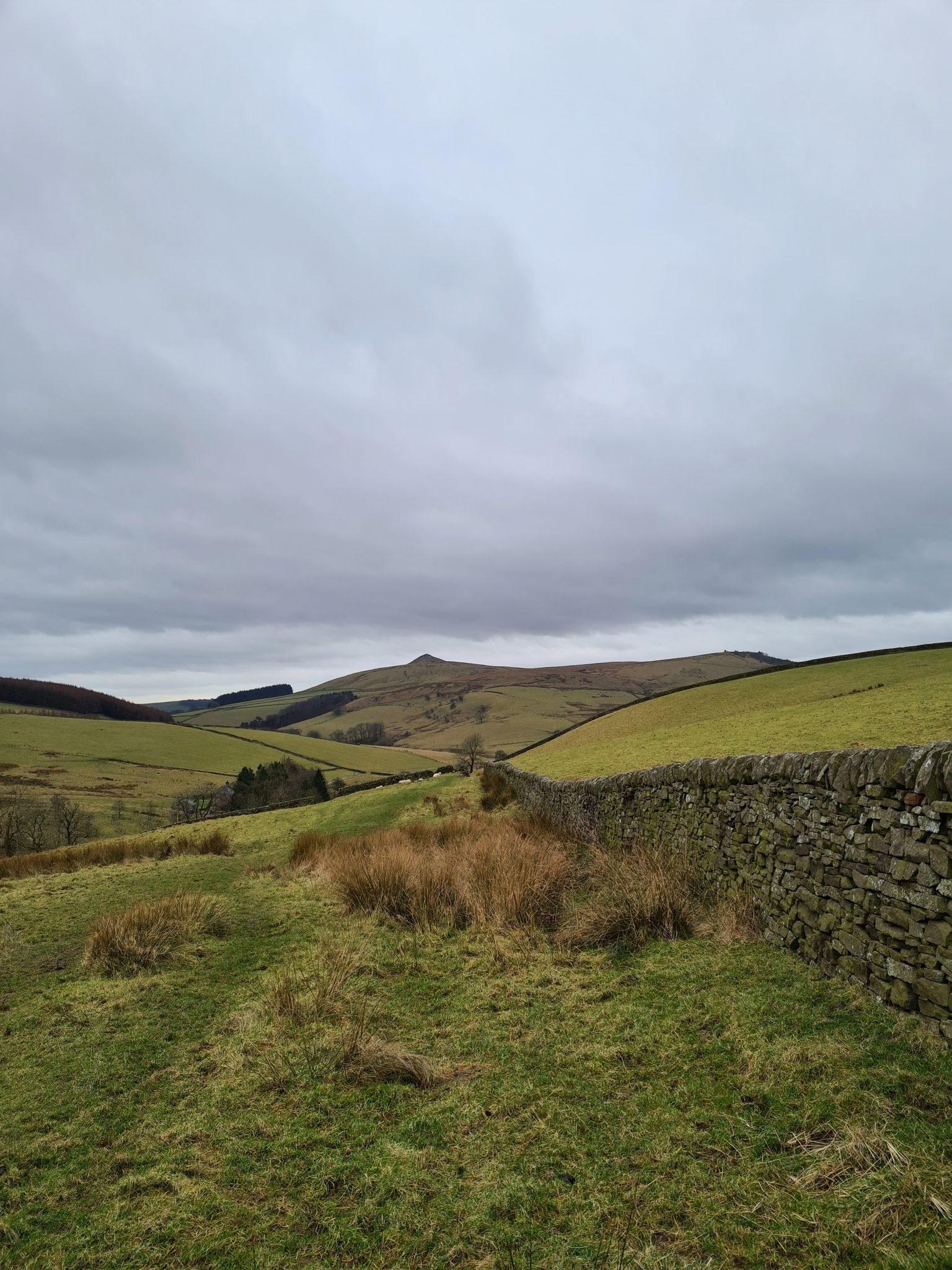 Shutlingsloe Circular Walk via Whetstone Ridge | 8 Miles