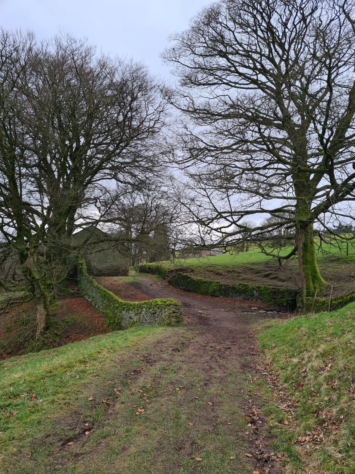 Shutlingsloe Circular Walk via Whetstone Ridge | 8 Miles