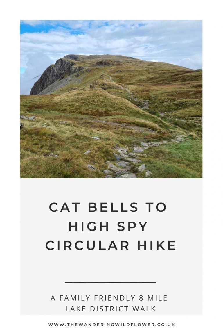 Catbells Hiking Trail | The Wandering Wildflower