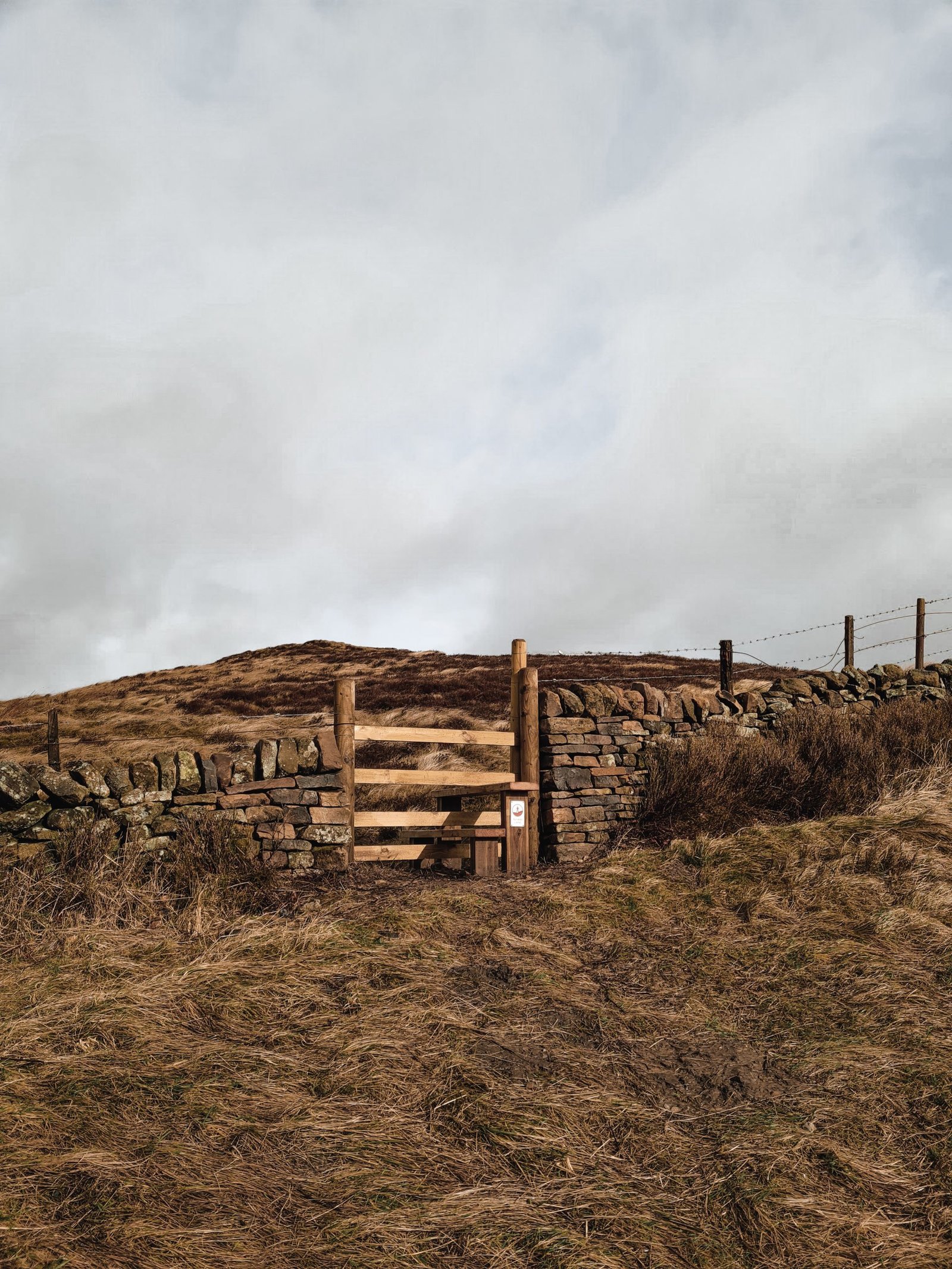 Sir William Hill, Durham Edge and Shatton Moor | 9 Miles