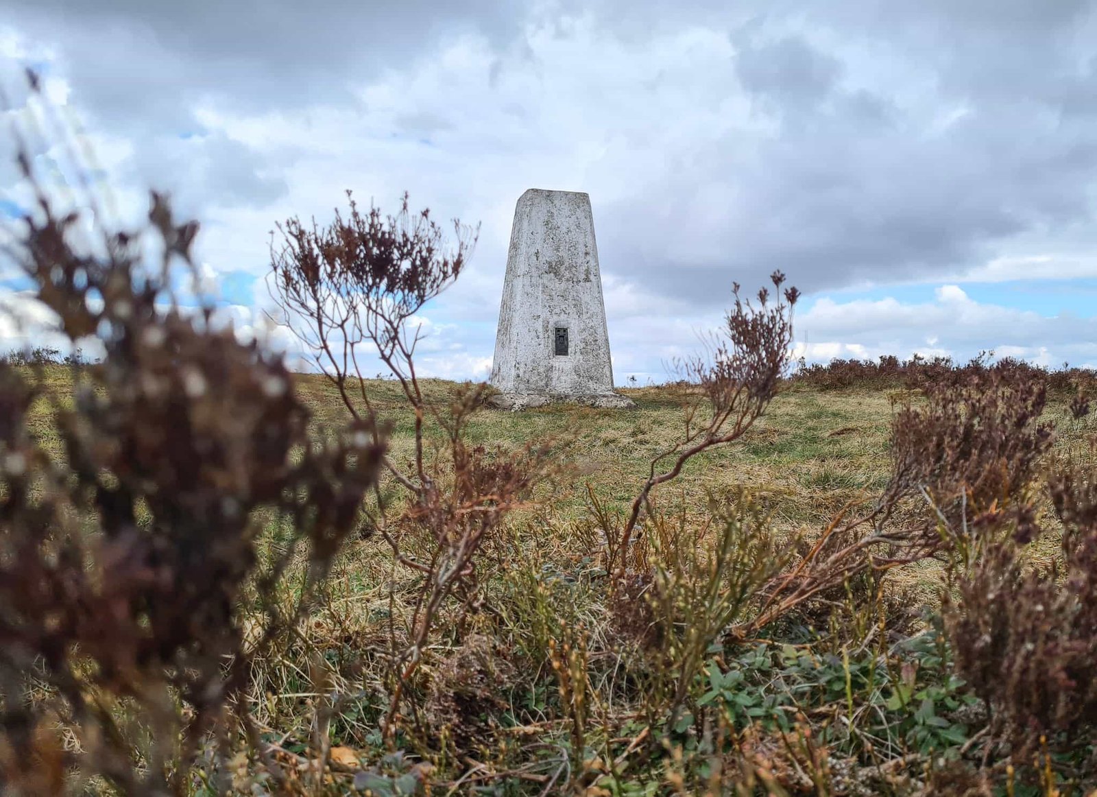 Best Places to See Heather in the Peak District | The Wandering Wildflower