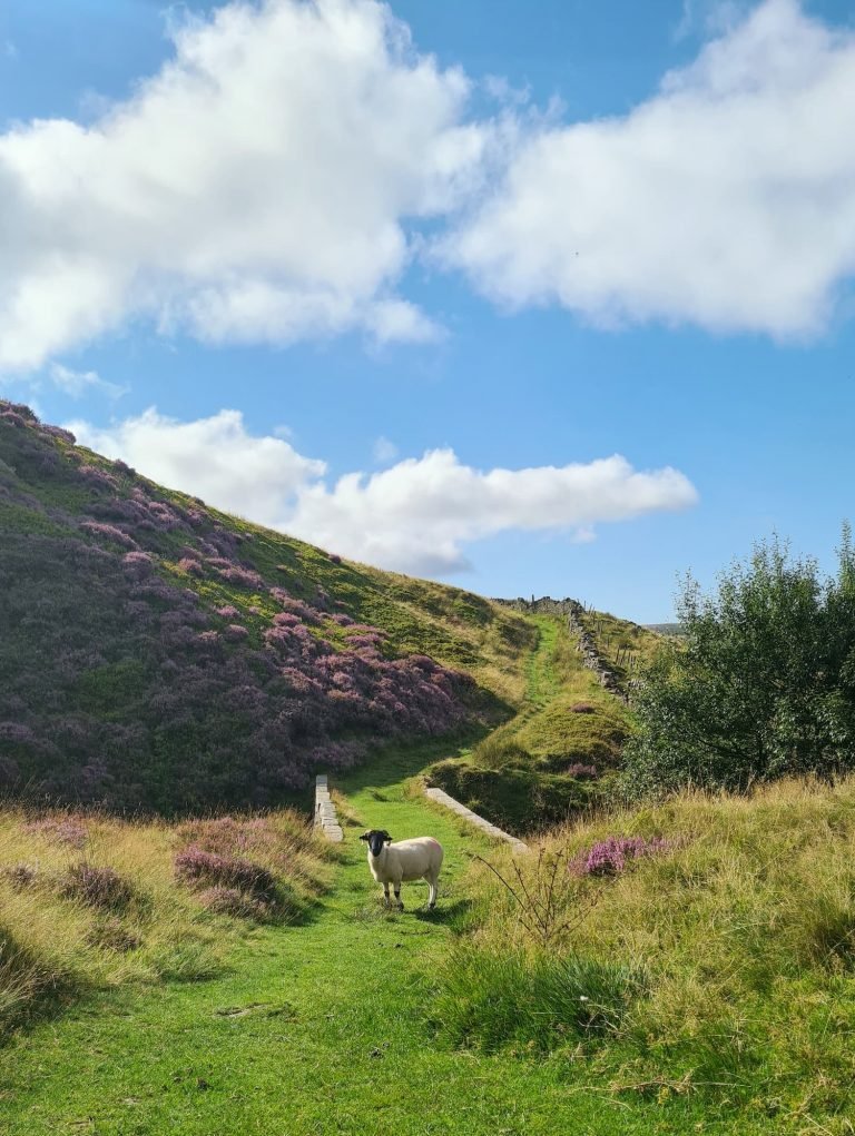 Circular Walk from Marsden to Wessenden Head | 6 Miles
