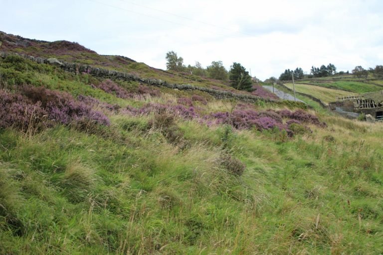 Hade Edge Circular Walk with Pub Stop | 5 Miles