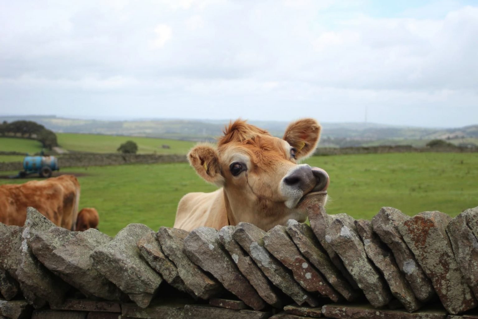 Hade Edge Circular Walk with Pub Stop | 5 Miles