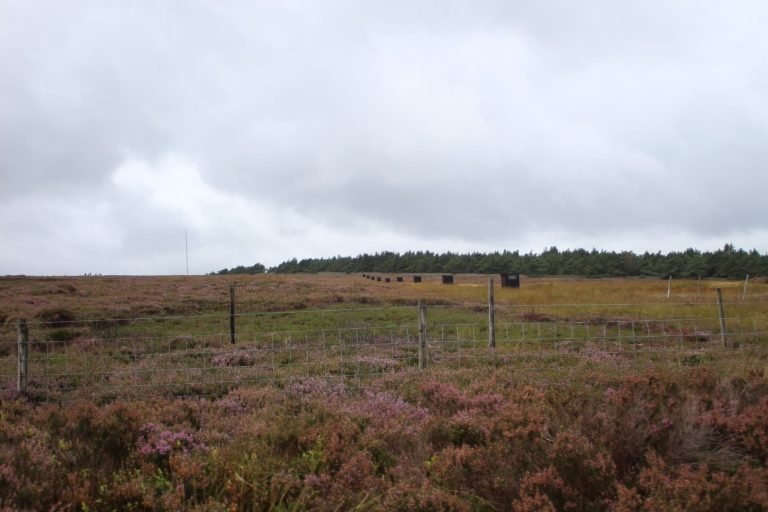 Hade Edge Circular Walk with Pub Stop | 5 Miles