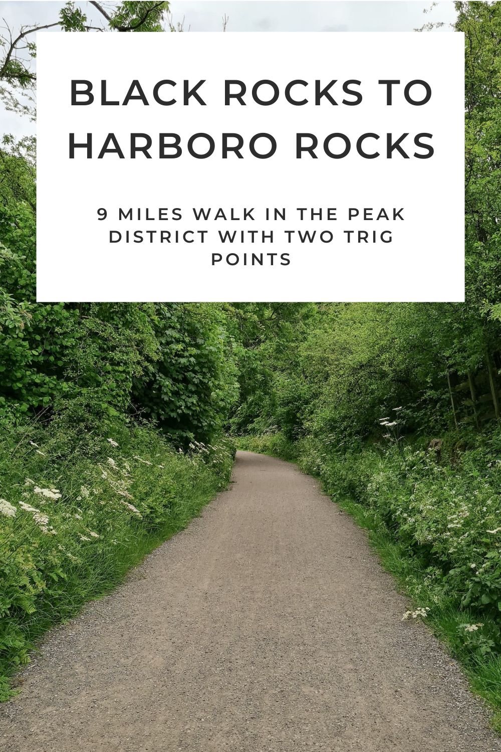 Harboro Rocks and Bolehill | 9 Miles