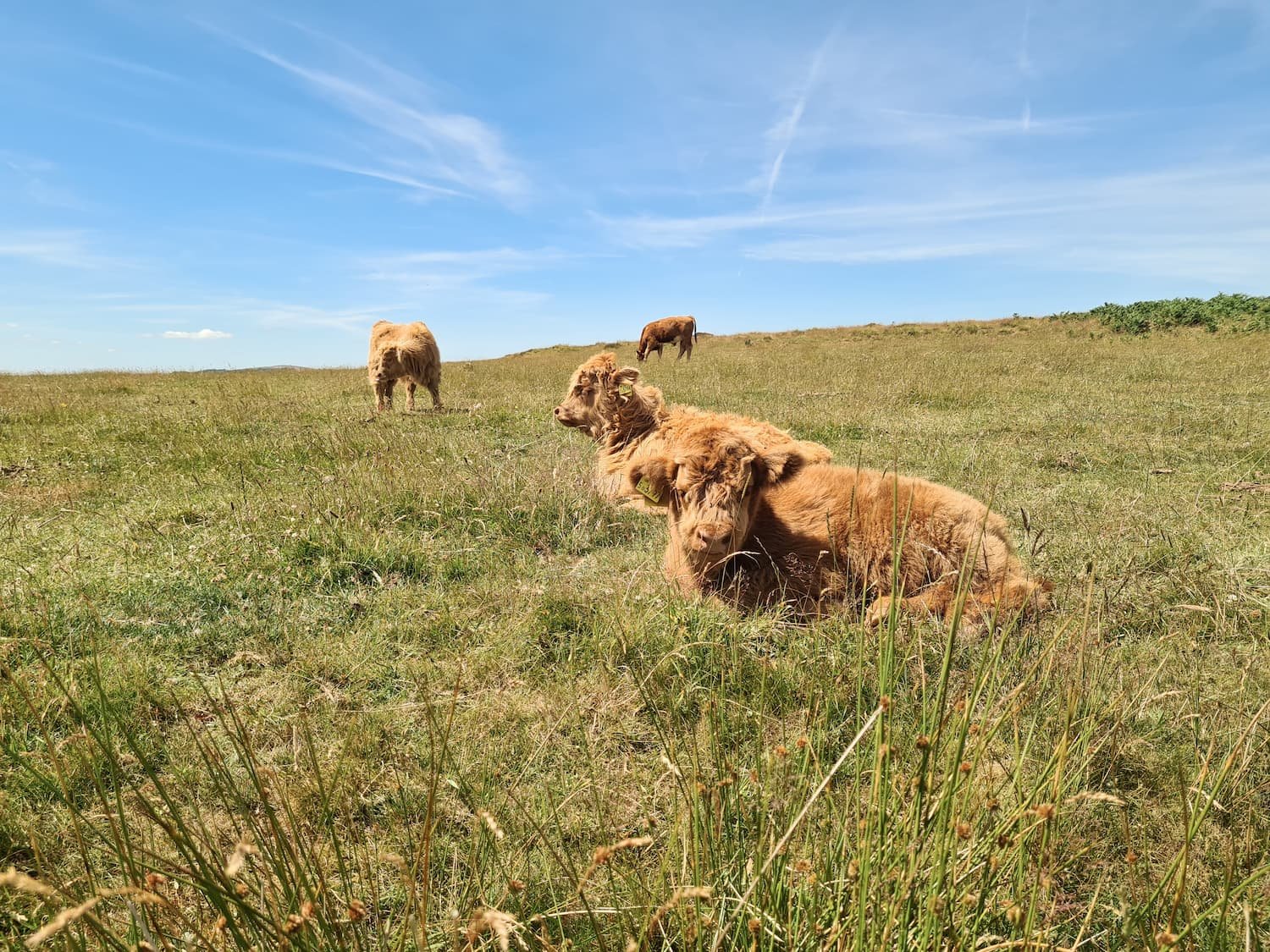 Baslow Edge Short Walk | 1.5 Miles | The Wandering Wildflower