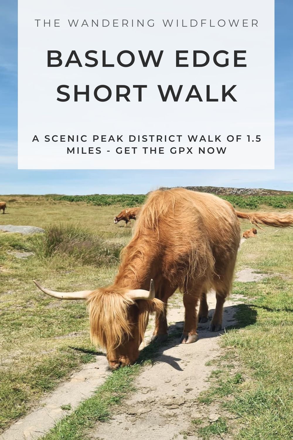 Baslow Edge Short Walk | 1.5 Miles | The Wandering Wildflower