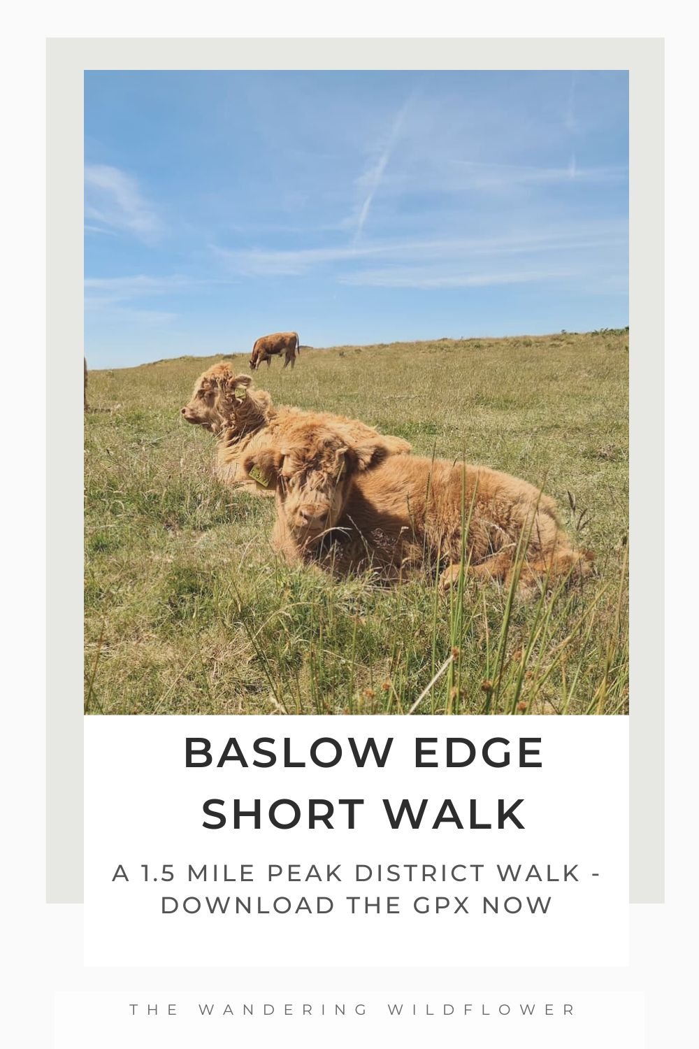 Baslow Edge Short Walk | 1.5 Miles | The Wandering Wildflower