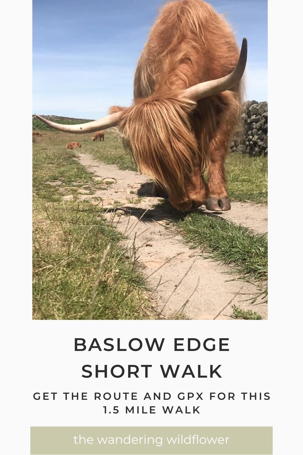 Baslow Edge Short Walk | 1.5 Miles | The Wandering Wildflower