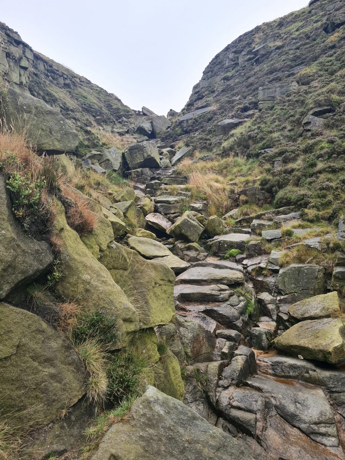 Crowden Clough to Kinder Scout Walk | 8 Miles