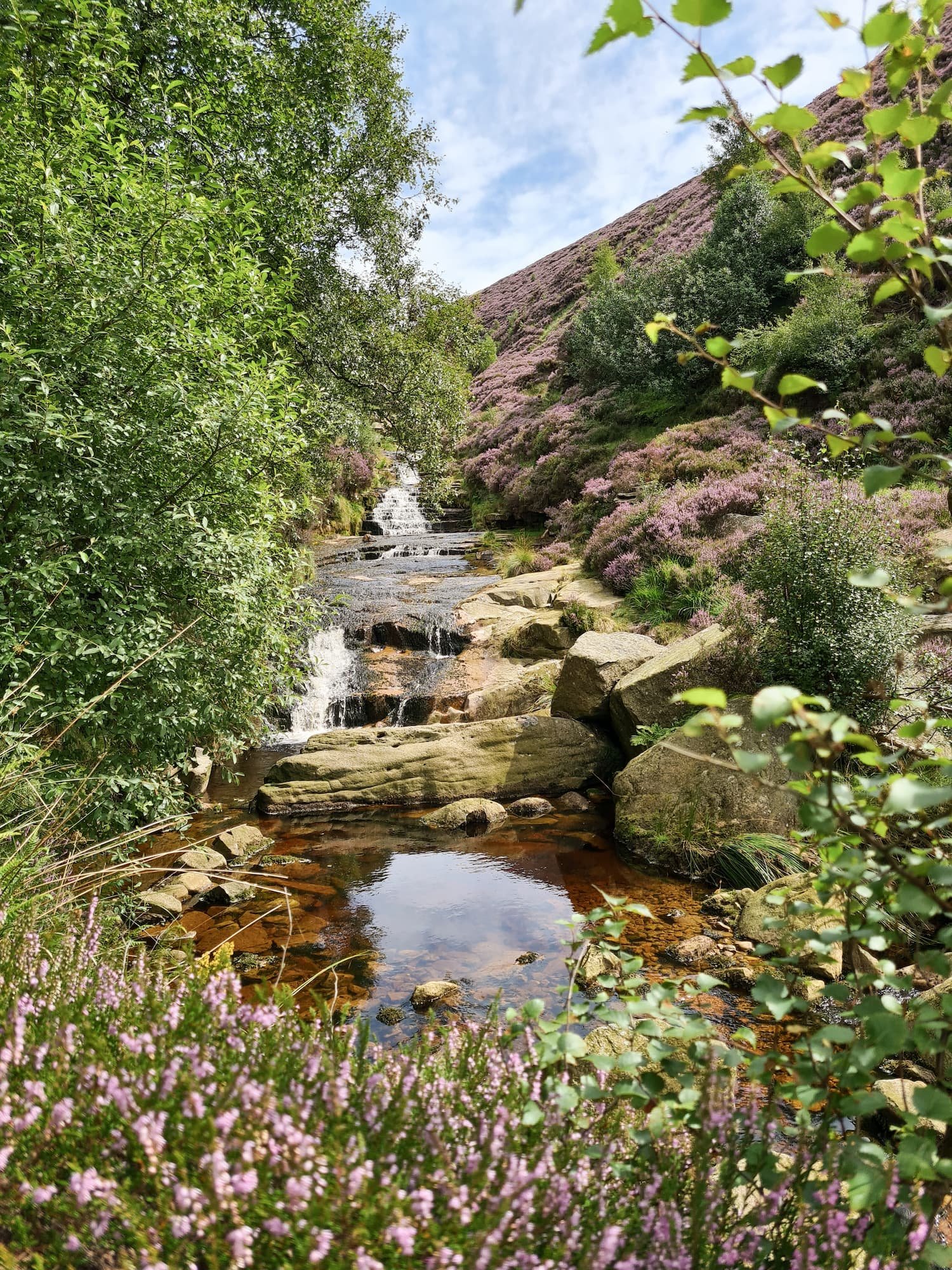 Wyming Brook Waterfalls Walk | 6 Miles | The Wandering Wildflower