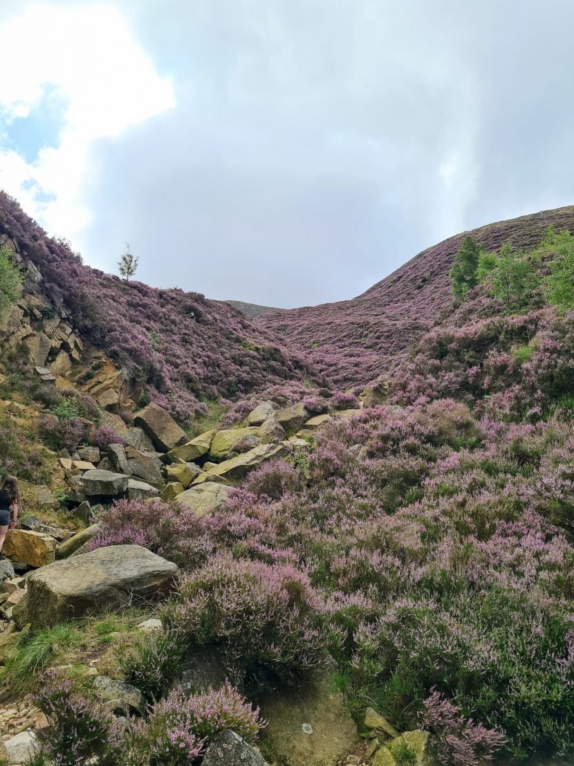 Wildboar Clough Scramble | 5 Miles | The Wandering Wildflower
