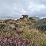Baslow Edge Short Walk | The Wandering Wildflower