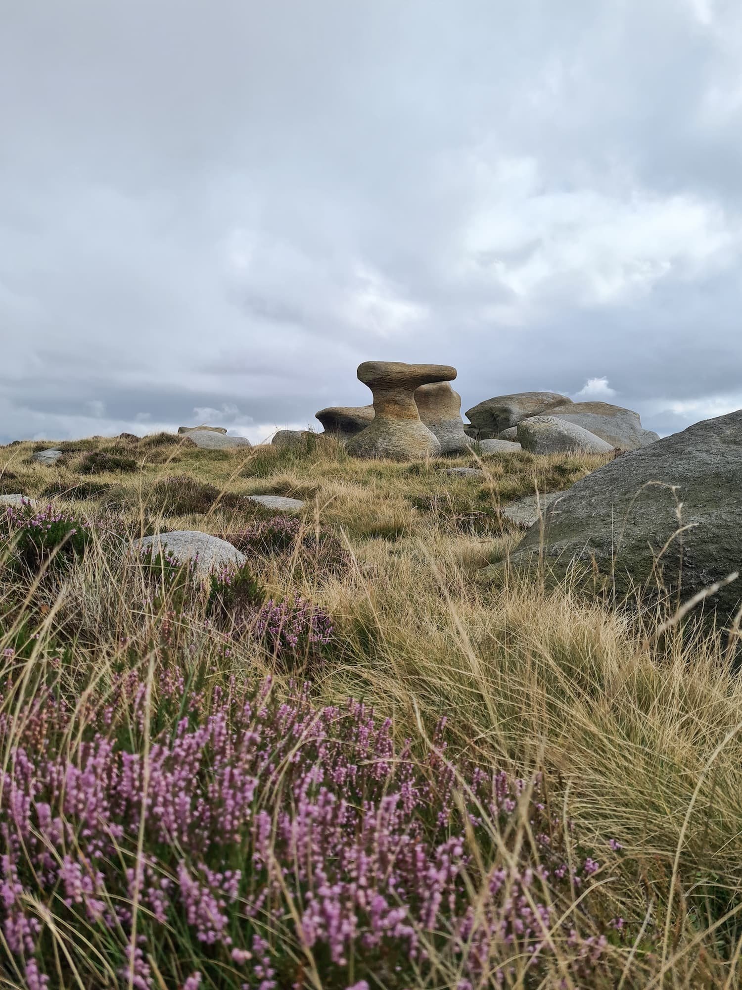 Best Places to See Heather in the Peak District | The Wandering Wildflower