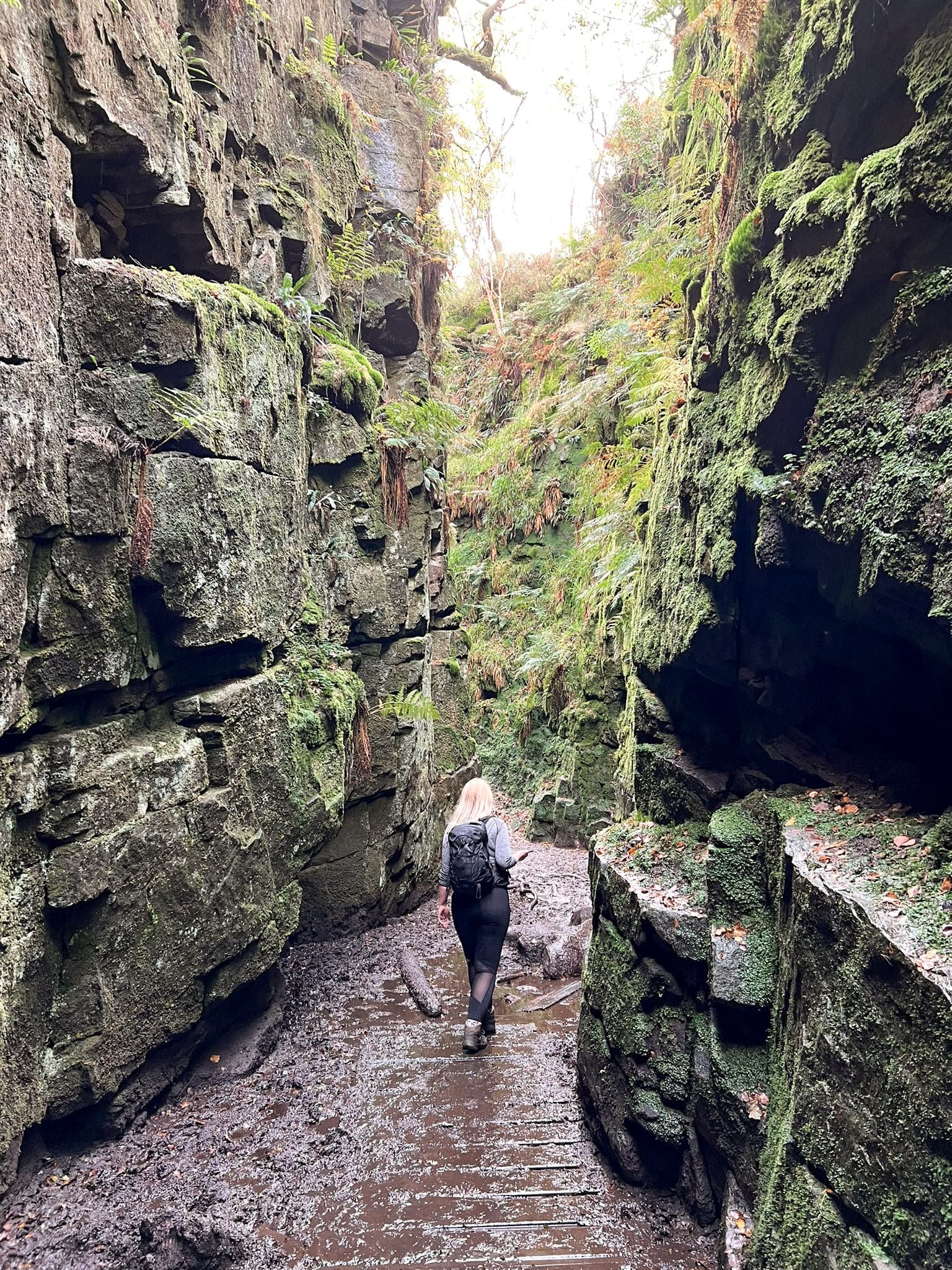 The Roaches and Luds Church Walk | 9 Miles | The Wandering Wildflower