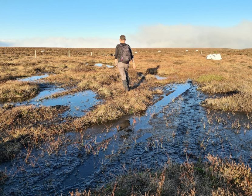 Britland Edge Hill, Dead Edge End and Snailsden | 8 Miles