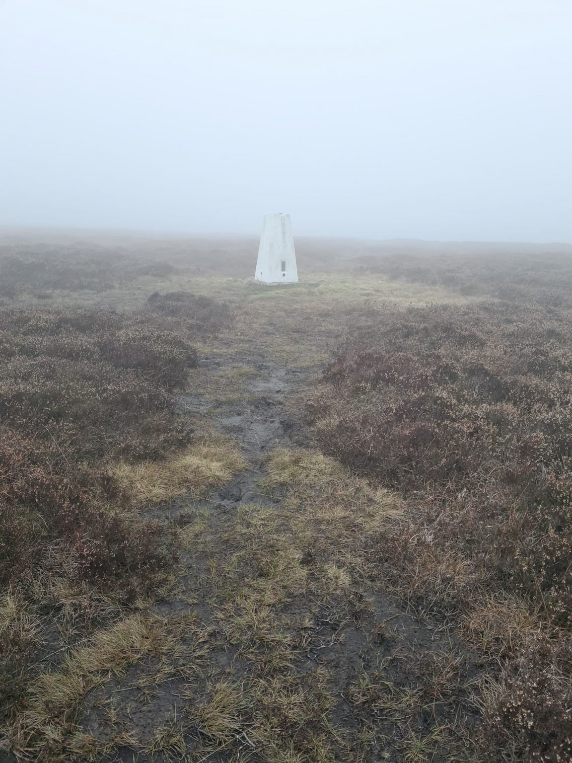 Britland Edge Hill, Dead Edge End and Snailsden | 8 Miles