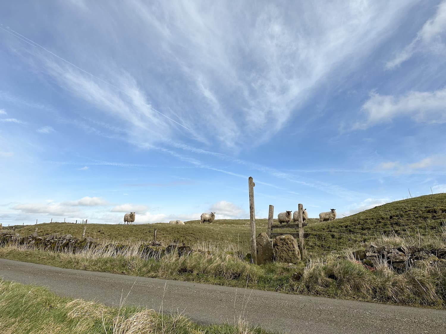 Bradnop Moor Top And Hill House Trig Point Walk 8 Miles Bradnop Moor Top And Hill House Trig Point Walk 8 Miles