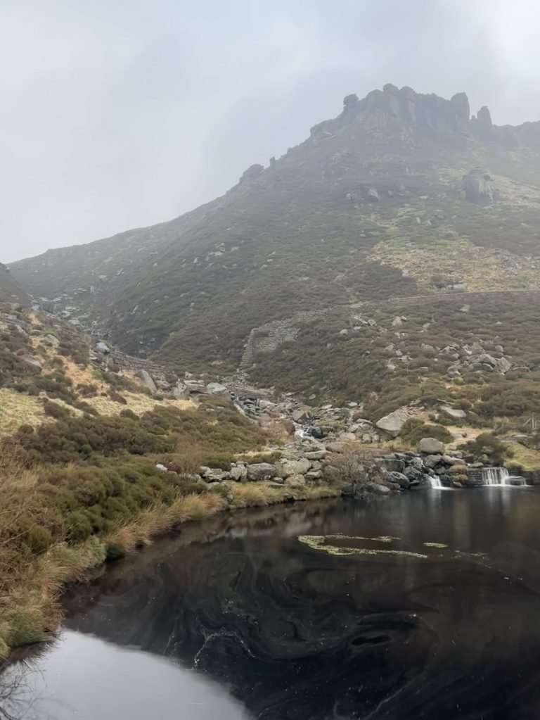 The Trinnacle Trail and Alphin Pike | 14 Miles