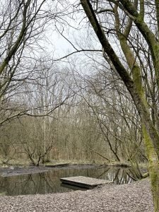 Tintwistle Seven Falls and Plane Crash Sites | 7 Miles