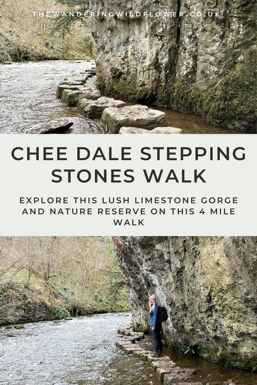 Chee Dale Stepping Stones Walk | 4 Miles